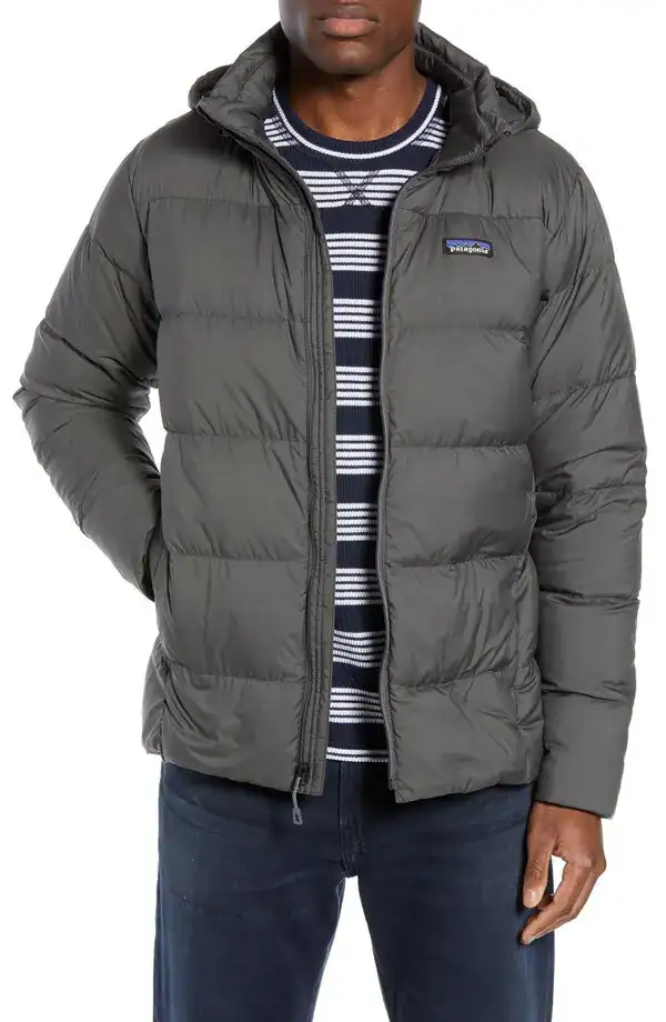 Patagonia Silent Water Repellent 700 Fill Power Down Jacket In