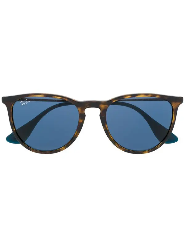 Ray-ban Erika Round-frame Sunglasses