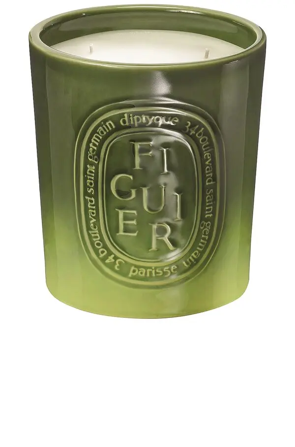 DIPTYQUE Figuier Extra Large Candle In Green