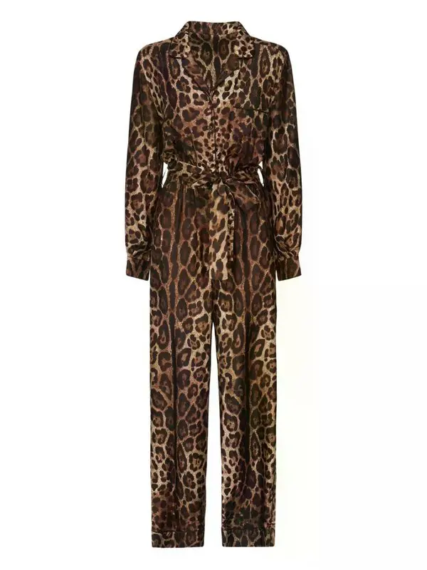 Dolce & Gabbana Leopard-print Silk Jumpsuit - Brown