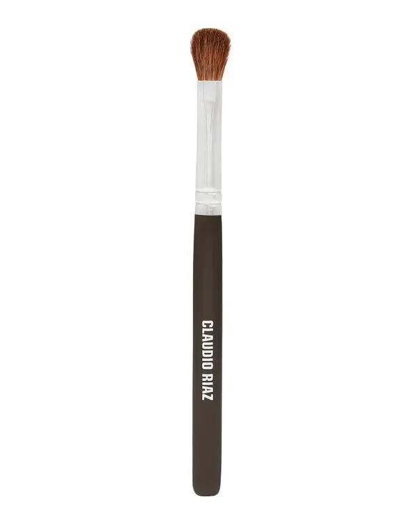 CLAUDIO RIAZ Blender Shadow Brush