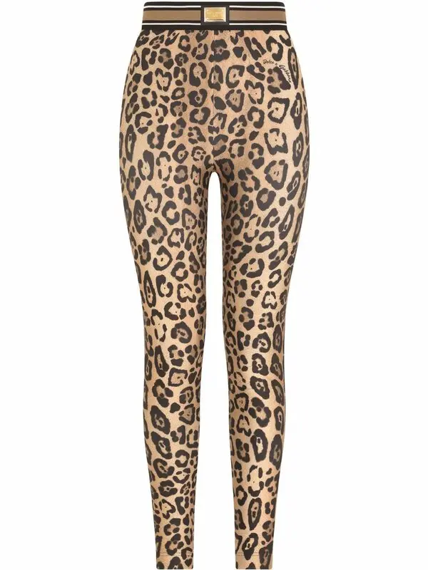 Dolce & Gabbana Leopard-print Jersey Leggings - Brown