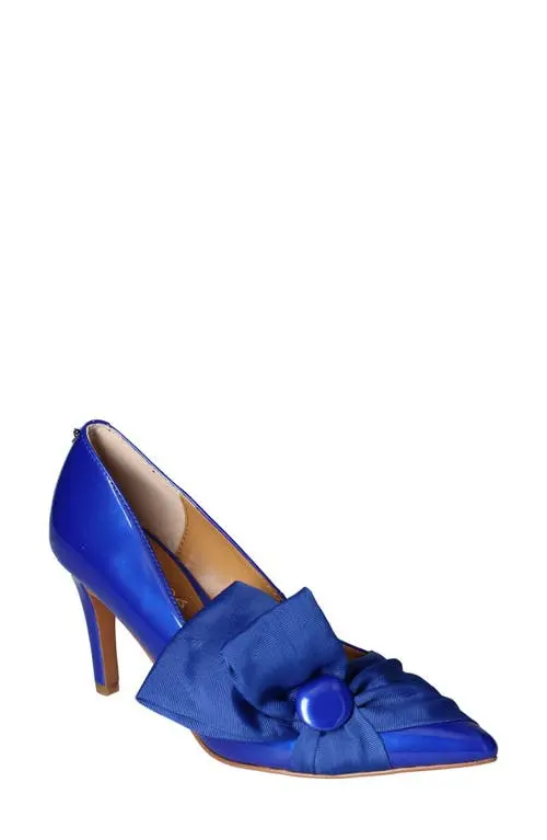 J. Reneé Hirisha Pointed-toe Pumps - Cobalt