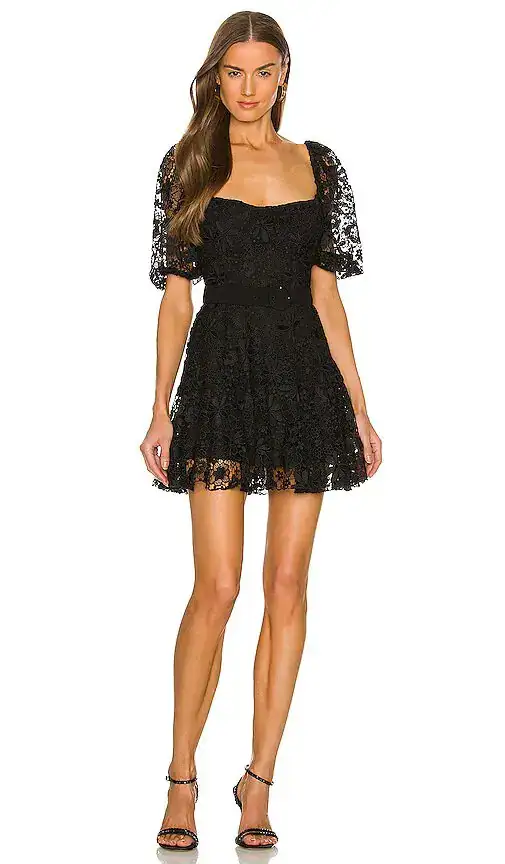Karina Grimaldi Melanie Lace Mini Dress - Black | Editorialist