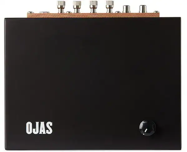 Ojas Exclusive Class D15 Wpc Amplifier - Black | Editorialist