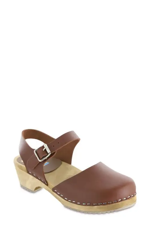 Mia Sofia Clog Sandal - Brown