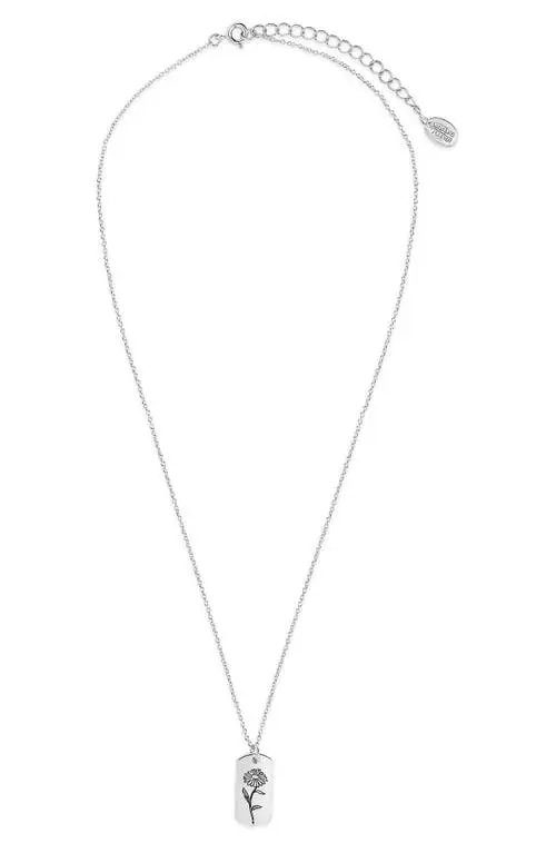 Sterling Forever Birth Flower Pendant Necklace - Silver/april