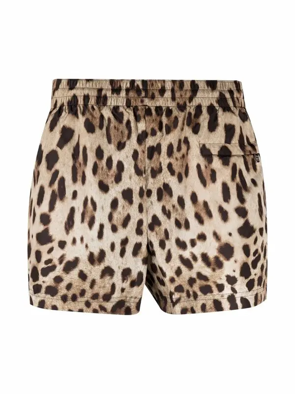 Dolce & Gabbana Leopard-print Swim Shorts - Neutrals