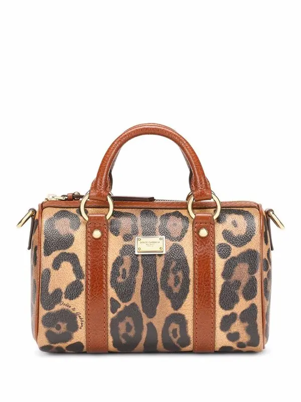 Dolce & Gabbana Small Leopard-print Satchel - Brown