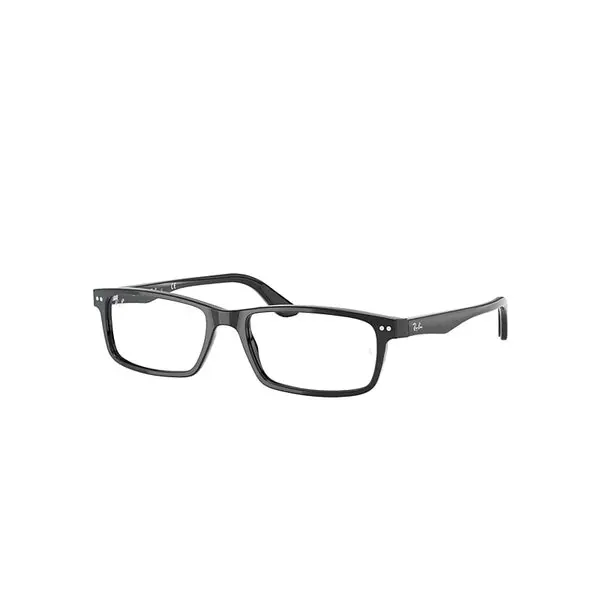 Ray-ban Optics Eyeglasses Frame - Black