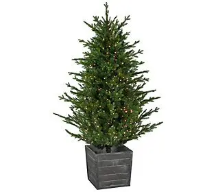 NORTHLIGHT Norhtlight 6' Pre-lit Potted Deluxe Russian Pin Tree