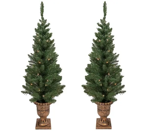 NORTHLIGHT S/2 Pre-lit Potted Pine Topiary Slim Trees 4