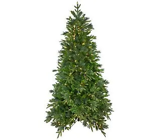 NORTHLIGHT 9' Pre-lit Rosemary Emerald Angel Pi E Tree