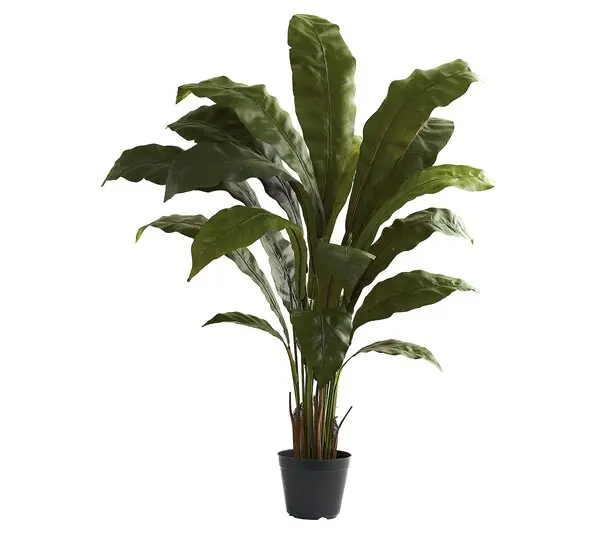 NEARLY NATURAL 3.5' Bird's Nest Plant By