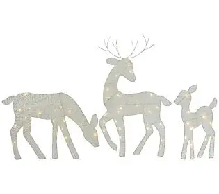 NORTHLIGHT S/3 Led Lighted White Reindeer Famil Decorations