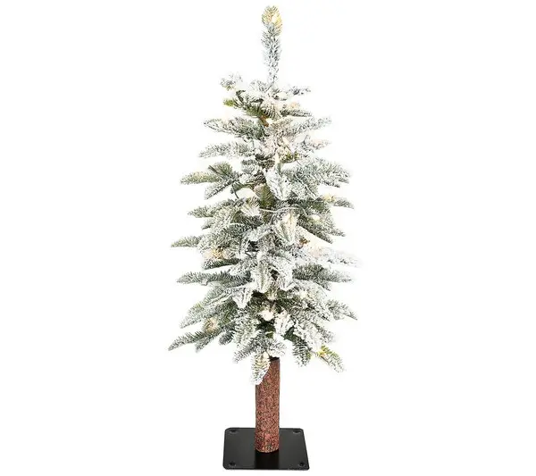 FRASER HILL FARM 3-ft. Snowy Downswept Tree Wit Clear Lights