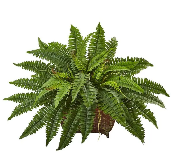 NEARLY NATURAL Boston Fern In Metallic Planter By