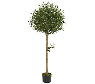 NEARLY NATURAL 5' Olive Topiary Artificial Tree Nearly Natu Ral