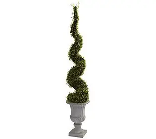 NEARLY NATURAL 5' Mohlenbechia Tree With Decorative Urn Nea Rly Natural