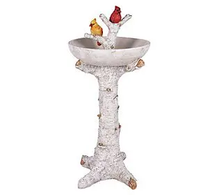 EVERGREEN Birch Tree Resin Bird Bath - One-color | Editorialist