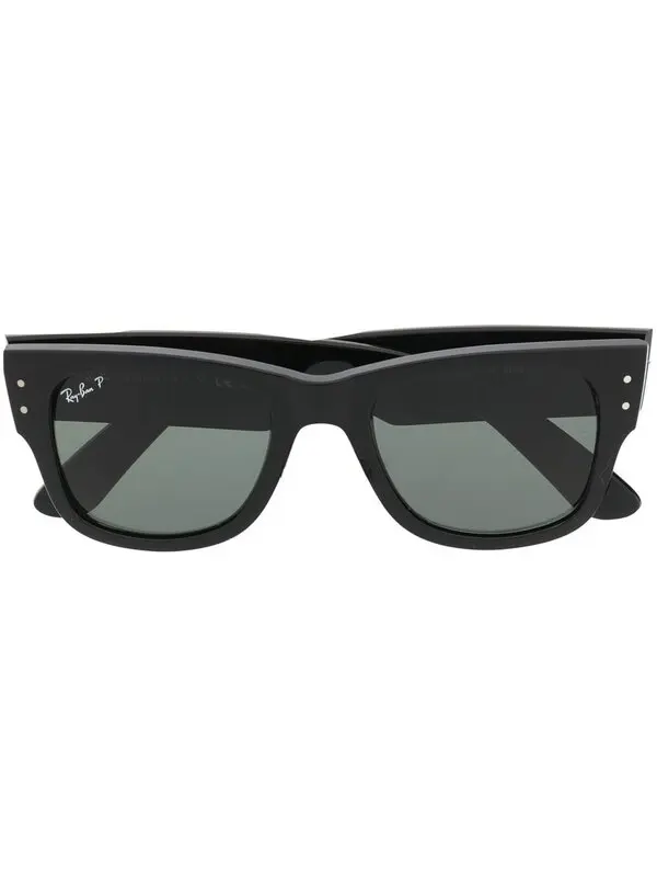 Ray-ban Wayfarer Sunglasses