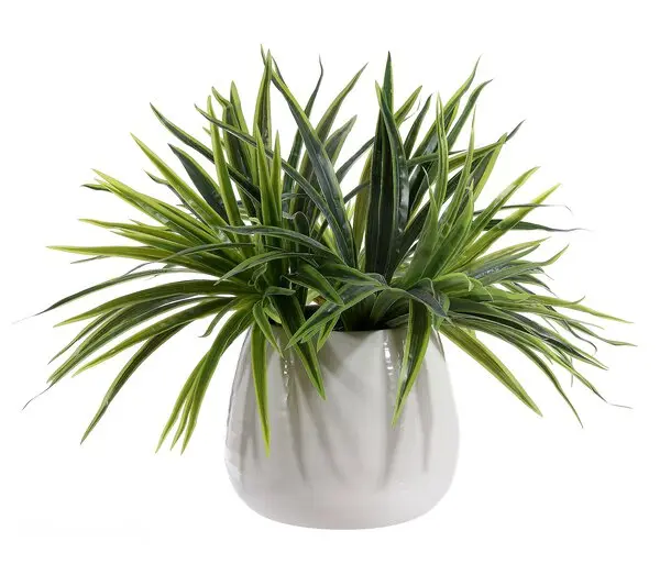 SAFAVIEH Faux Orchid Potted Plant
