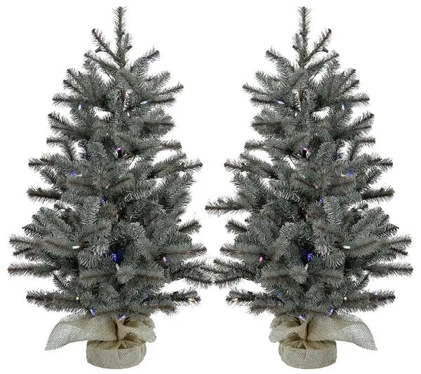 FRASER HILL FARM Set Of Two 4 Ft. Heritage Pine Artificial Tre