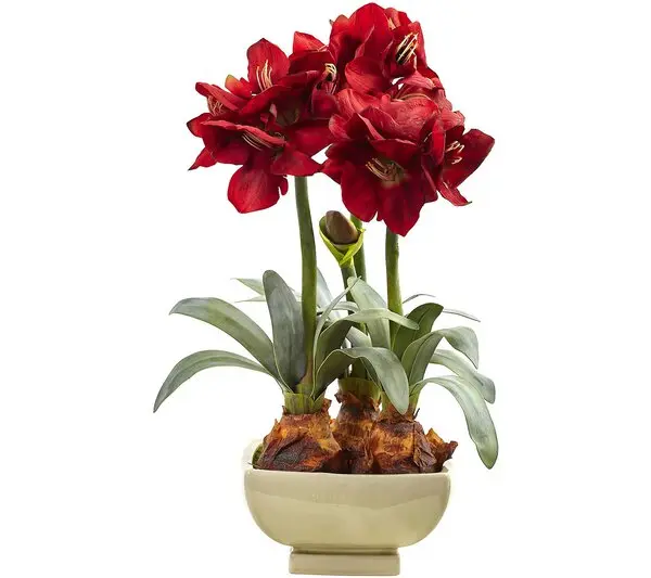 NEARLY NATURAL Amaryllis Arrangement W/ Vase By