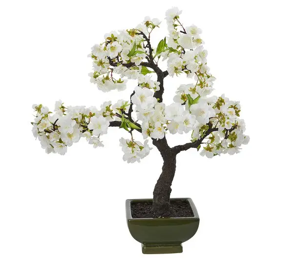 NEARLY NATURAL Cherry Blossom Bonsai Artificial Tree By