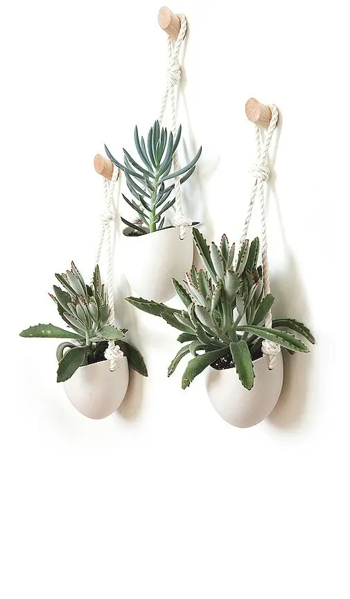 LIGHT + LADDER Spora Hanging Planter & Maple Hook Set In White