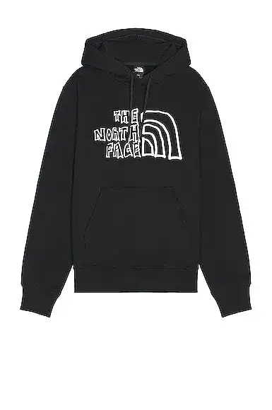 The North Face Printed Heavyweight Pullover Hoodie In Black In Tnf 