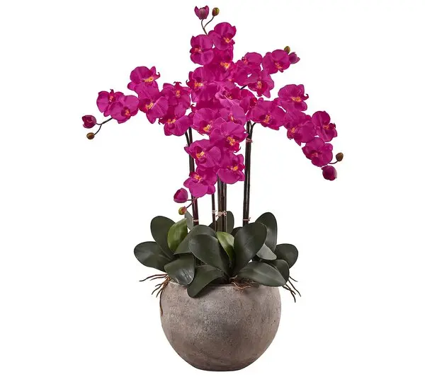 NEARLY NATURAL Phalaenopsis Orchid Arrangement In Bowl Near Ly Natural
