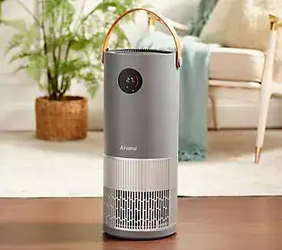 AIRVANA 2-in-1 True Hepa Air Purifier & 1.1ghumidifier - One-color ...