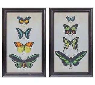 MELROSE International Framed Butterfly Print