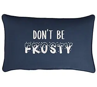SORRA HOME Don't Be Frosty Embroidered Sunbrell A Pillow