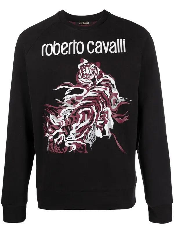 Roberto Cavalli Graphic-print Crew Neck Sweatshirt