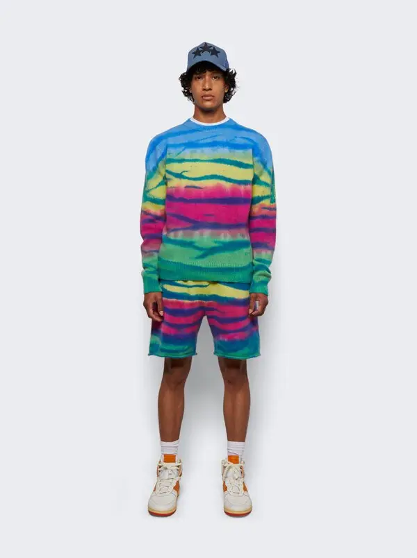 THE ELDER STATESMAN Striped Frank Shorts - Multicolor