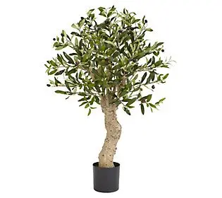 NEARLY NATURAL 2.5' Olive Tree With 690 Leaves By