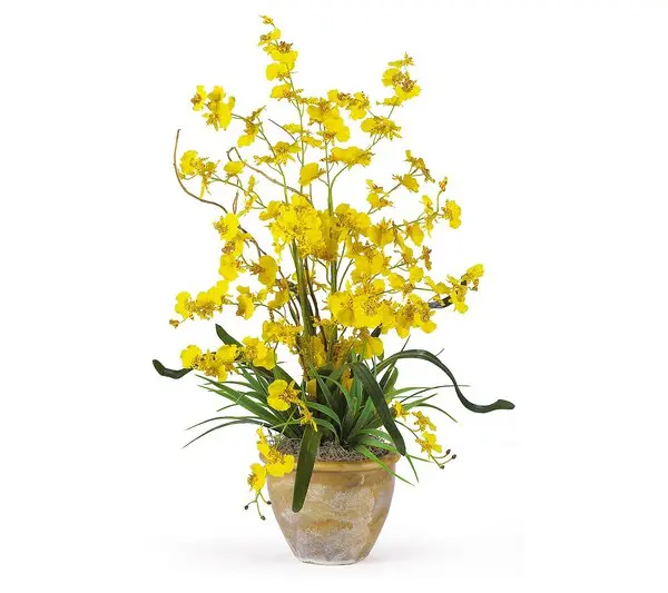 NEARLY NATURAL 26' Double Orchid Dancing Lady Arrangement N Early Natural