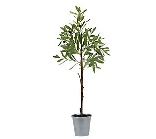 MELROSE Olive Tree Plant In Tin Pot 31.5