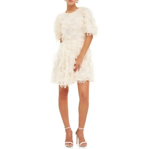 Endless Rose Feathered Mesh Mini Dress - Cream