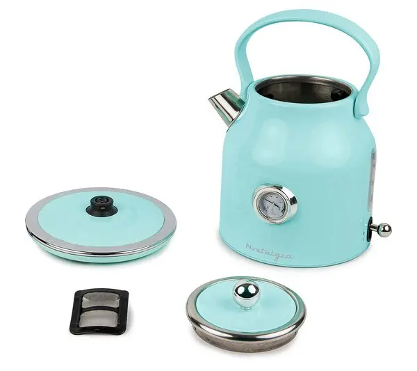 NOSTALGIA Nostalgia Classic Water Kettle - One-color | Editorialist