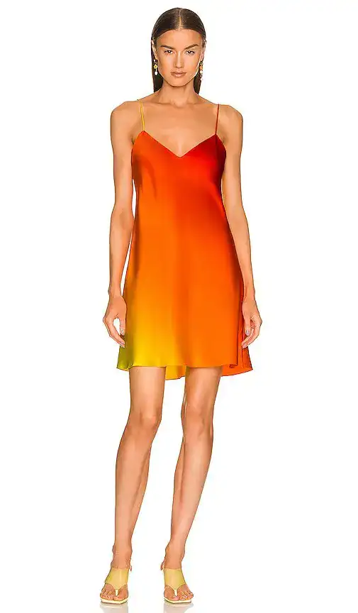 knee length dresses for ladies Mesh Swirl Print Mini Slip Dress
