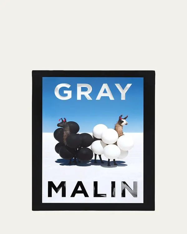 ABRAMS BOOKS Gray Malin: The Essential Collection" Book Gray Malin