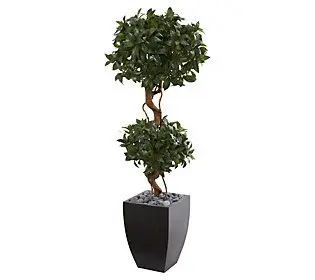NEARLY NATURAL 4.5' Sweet Bay Double Topiary Tree Nearly Na Tural