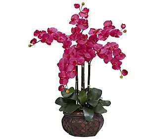 NEARLY NATURAL Phalaenopsis Vase Silk Flower Arrangement Ne Arly Natural