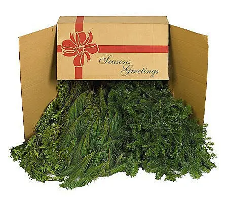 VALERIE PARR HILL 10-lb Box Of Mixed Greens Valerie Del. Week 11/24