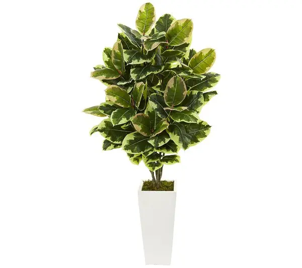 NEARLY NATURAL Variegated Rubber Leaf Plant In Tower Vase N Early Natural