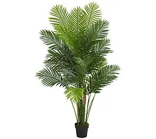NEARLY NATURAL 6' Hawaii Palm Artificial Tree Nearly Natura L