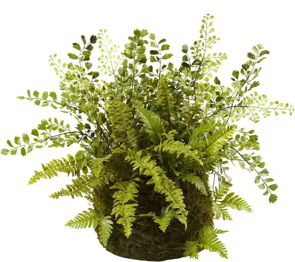 NEARLY NATURAL Mixed Fern With Twig And Moss Basket Nearly Atural